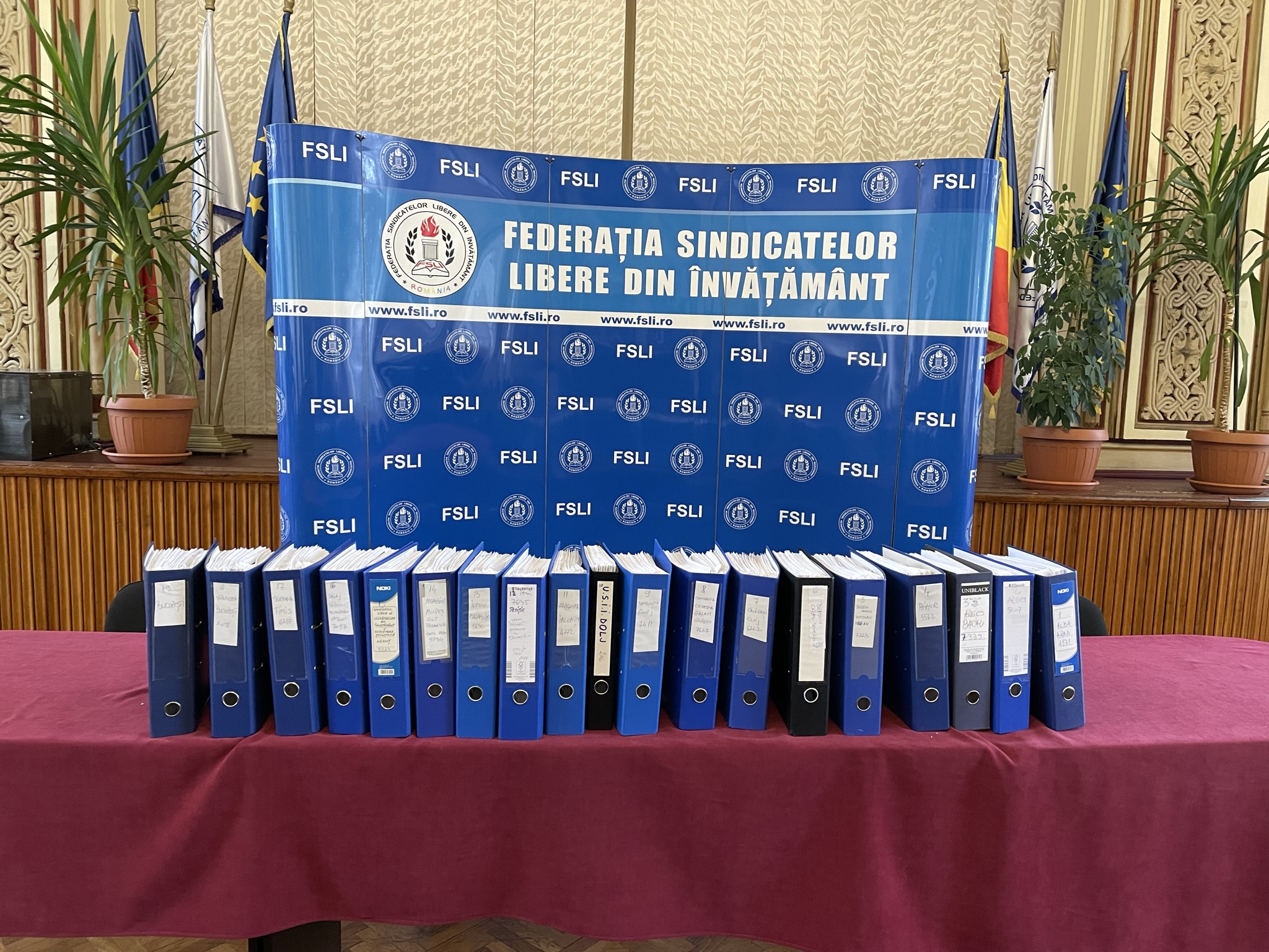 Galerie foto – FSLI